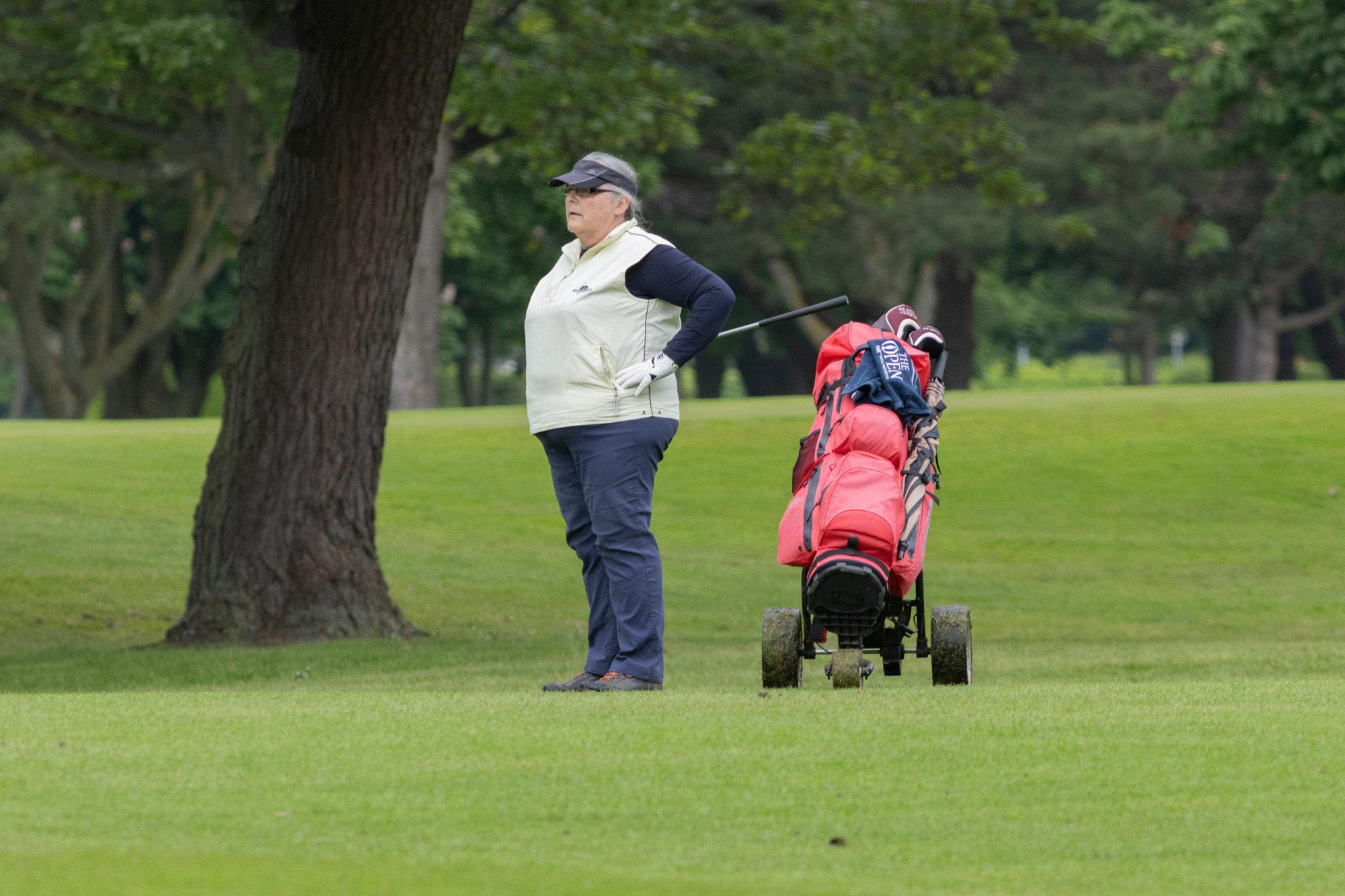 Open Mixed Week 2023 - Elm Park Golf & Sports Club - Dublin, Ireland